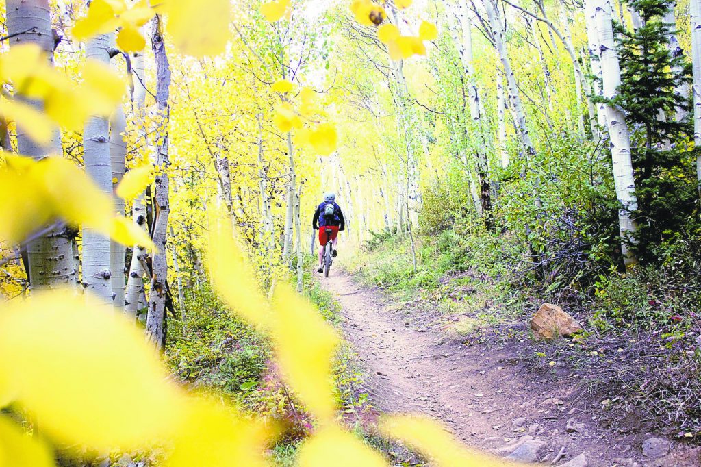 Top 6 drives to see fall foliage near Breckenridge, Colorado (with ...